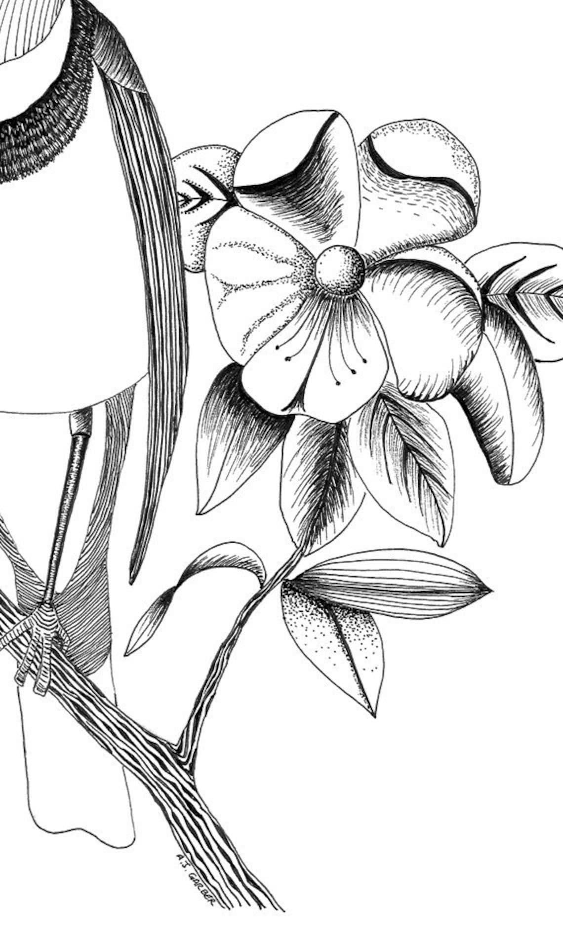 Digital Print of My Original Black Ink Pen Drawing. 12 X - Etsy