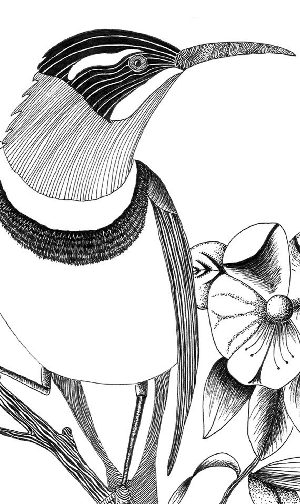 Digital Print of My Original Black Ink Pen Drawing. 12" X 18" on 100lb ...