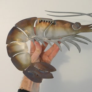 Shrimp Wall Metal Art Large - Etsy