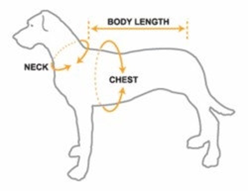 Crochet Dog Sweater Pattern - Size XS Only - PDF42 Digital Download - Etsy