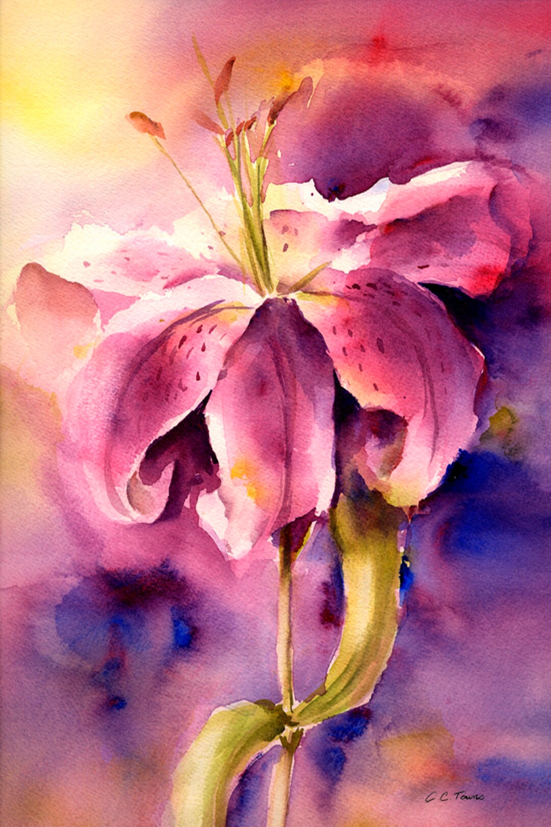 Stargazer Lily Art by Connietownsart Stargazer Artwork - Etsy