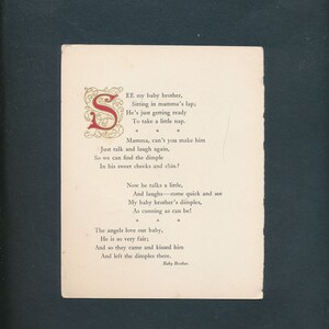 3 Authentic Botanical Bookplate Illustrations, Roses, Cyclamen ...