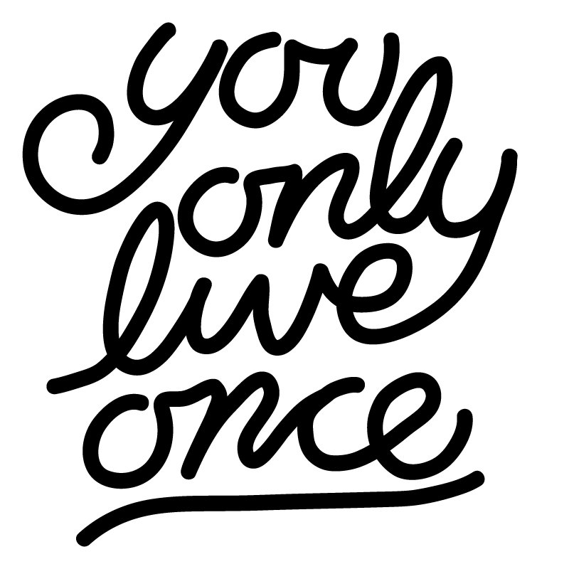 You Only Live Once Vinyl Wall Decal – YOLO Home Decor - Etsy