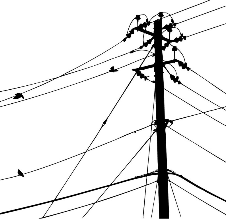 Wall Decal Custom Vinyl Art Stickers Power Lines and Birds | Etsy