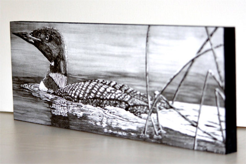 Common Loon Black and White Wood Mounted Canvas Art Decor From a Pencil ...