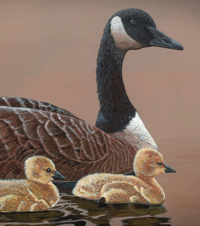 Canada gans kleurrijk hout gemonteerd Canvas Art decor van een ...