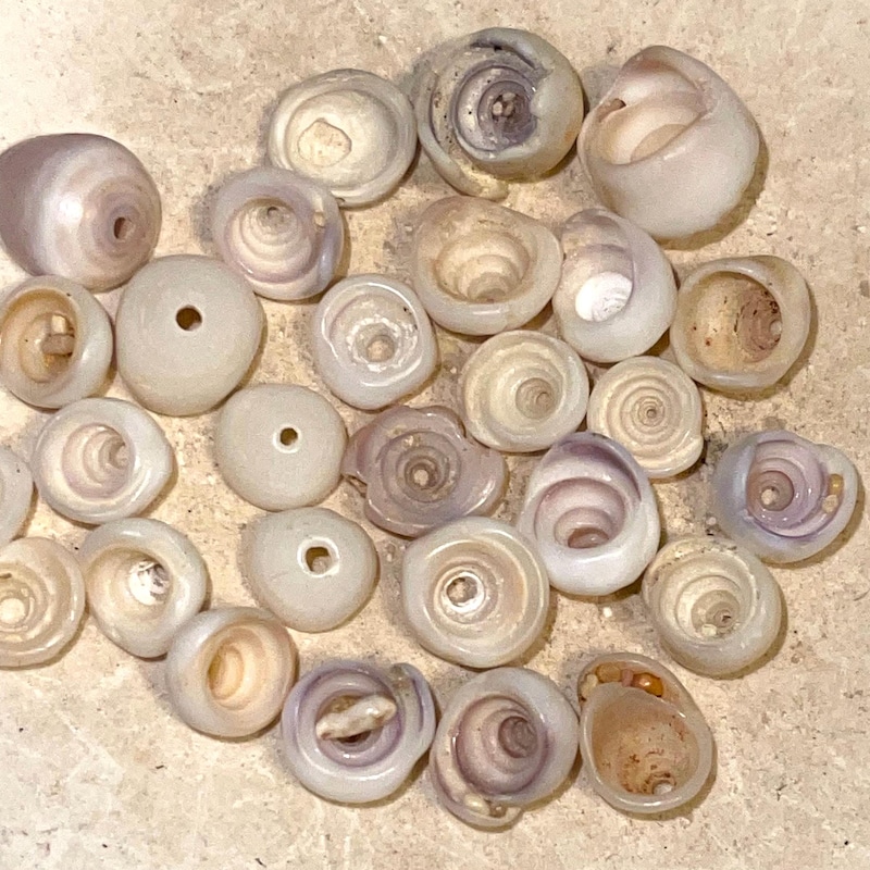 Puka Shell Necklace - Etsy