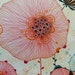 Danah Kim Original Flower Art 2013 - Etsy