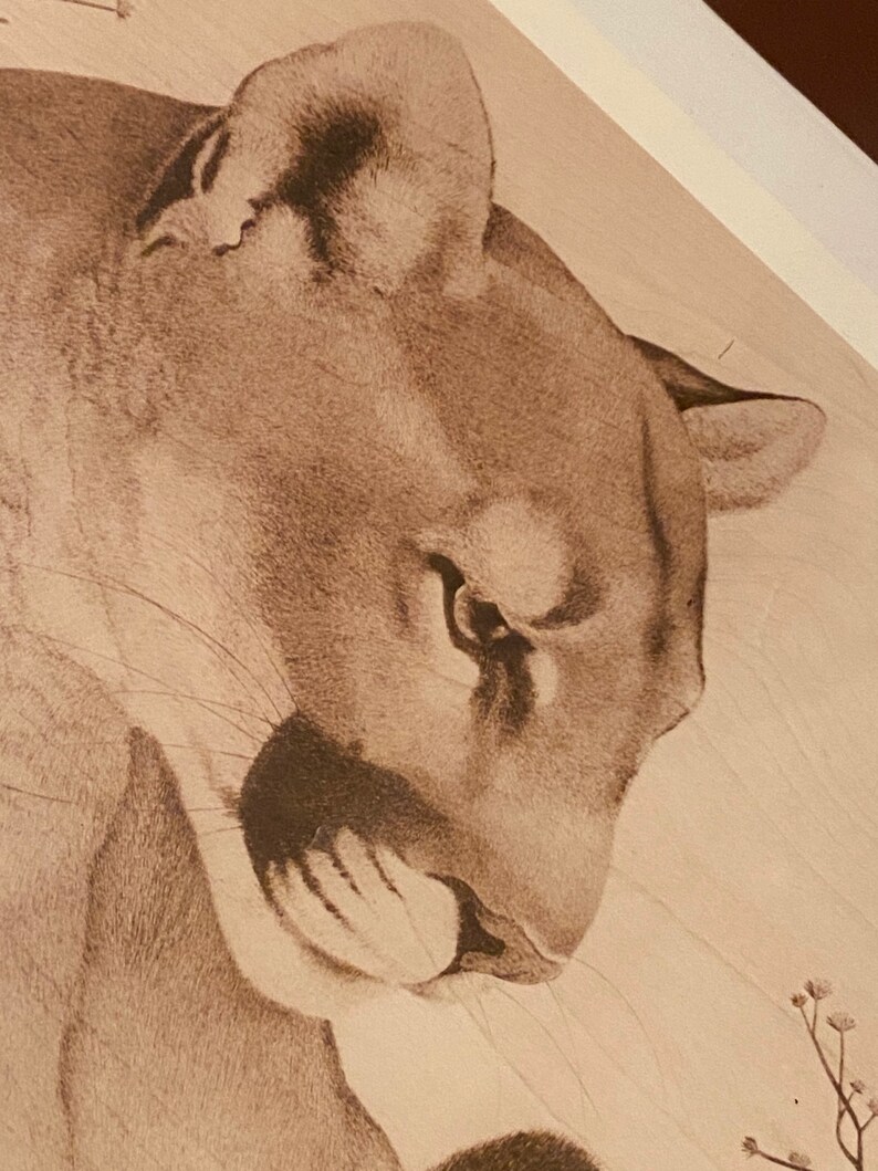 1982 Vintage Big Cat Print Signed and Numbered by the Artist Michael W ...
