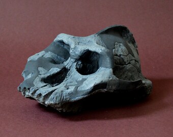 Skull Replicas by artskulls on Etsy