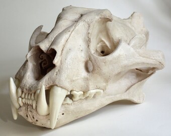 large male AFRICAN LION SKULL replica taxidermy Home Decor | Etsy