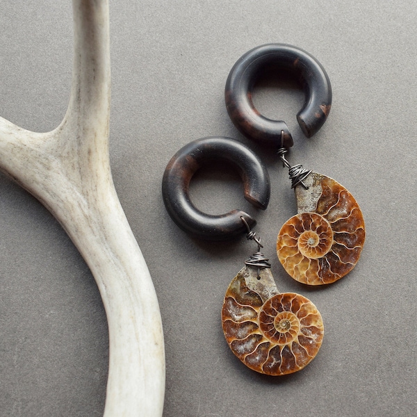 Wood Ear Gauges - Etsy