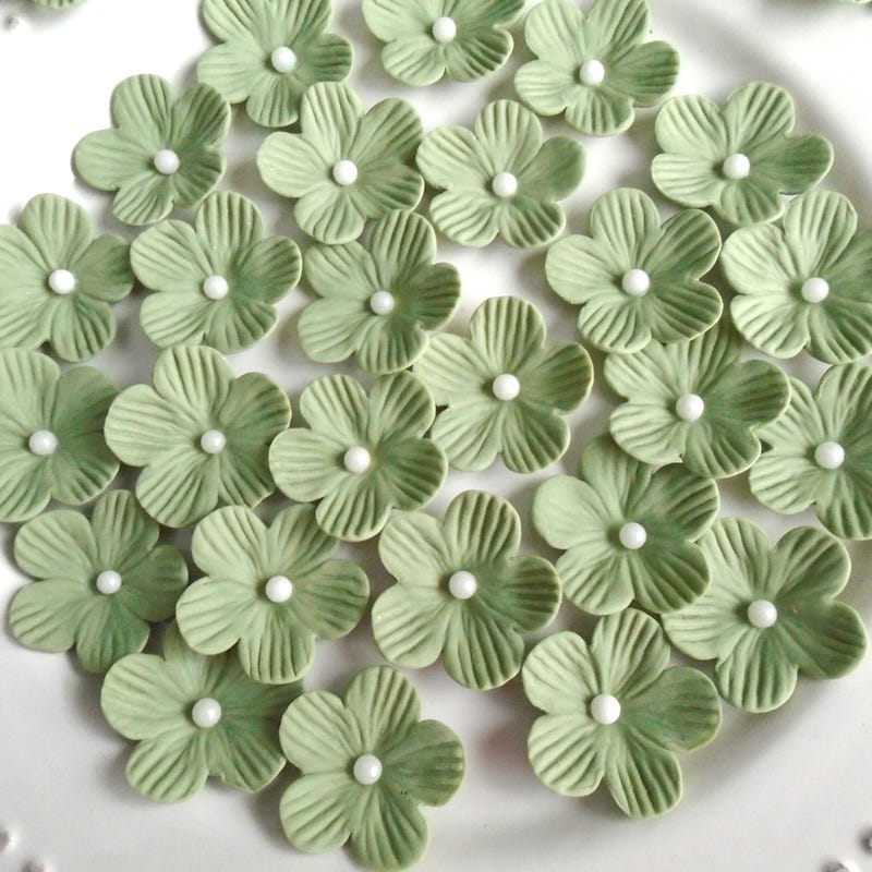 Edible Flowers Sage Green - Etsy