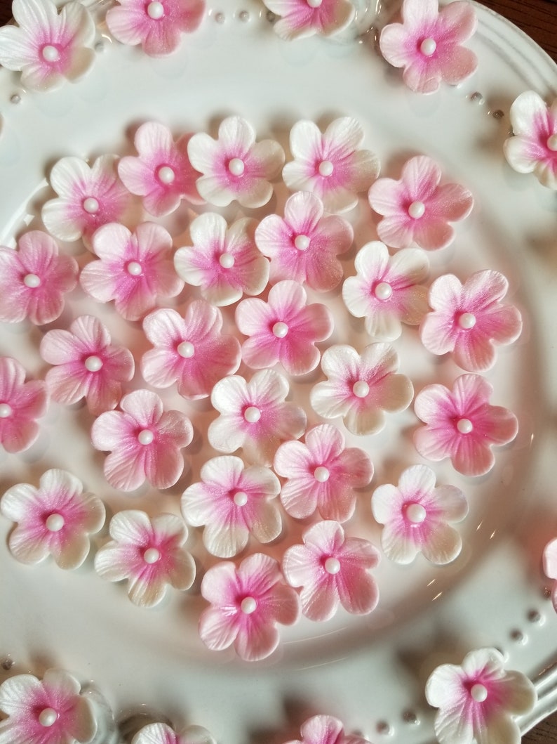 PINK on WHITE Gum Paste Blossoms 30 Edible Cake Topper and Cupcake ...