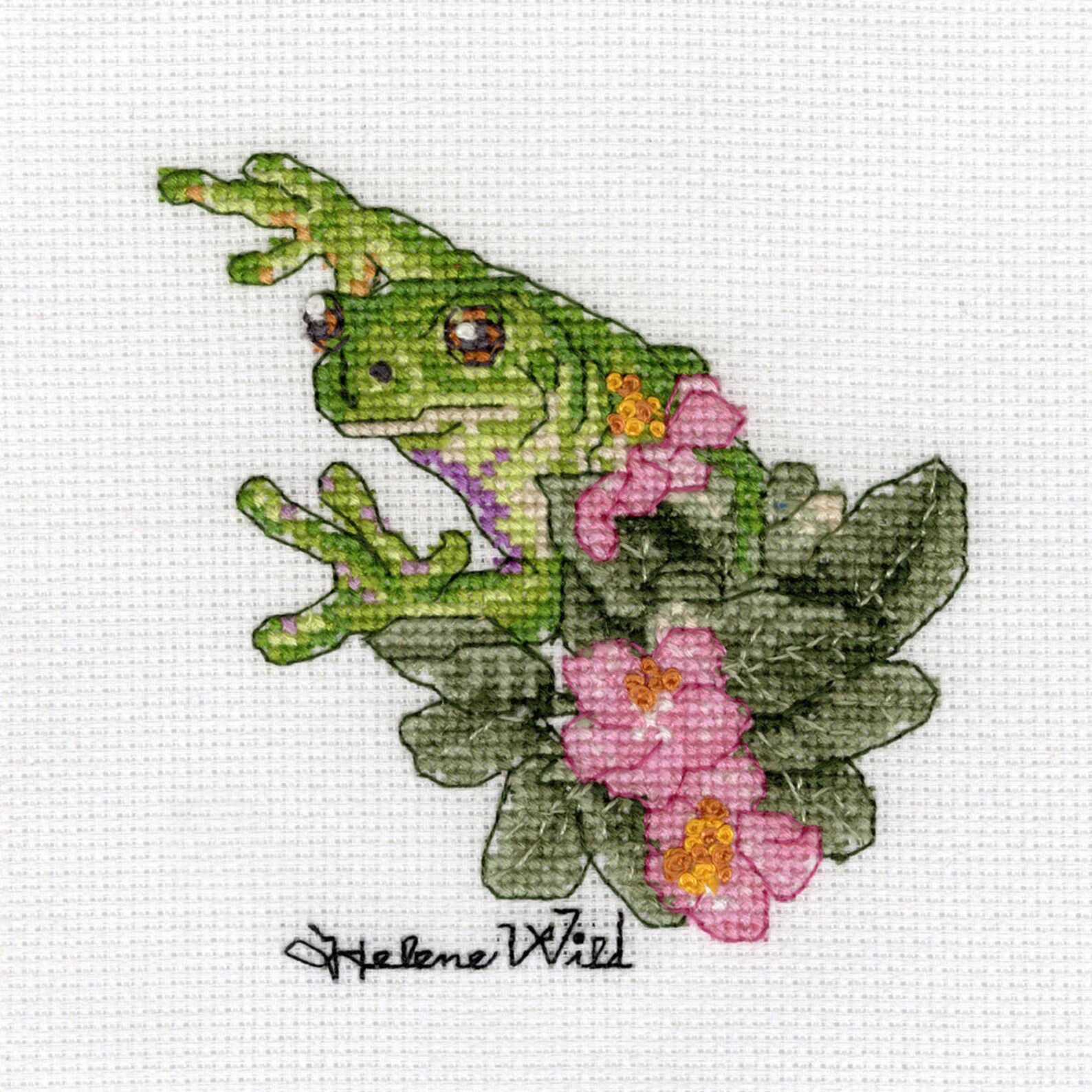 Frog Cross Stitch Kit by Helene Wild. Size 12 X 12cm on 16ct Aida. - Etsy