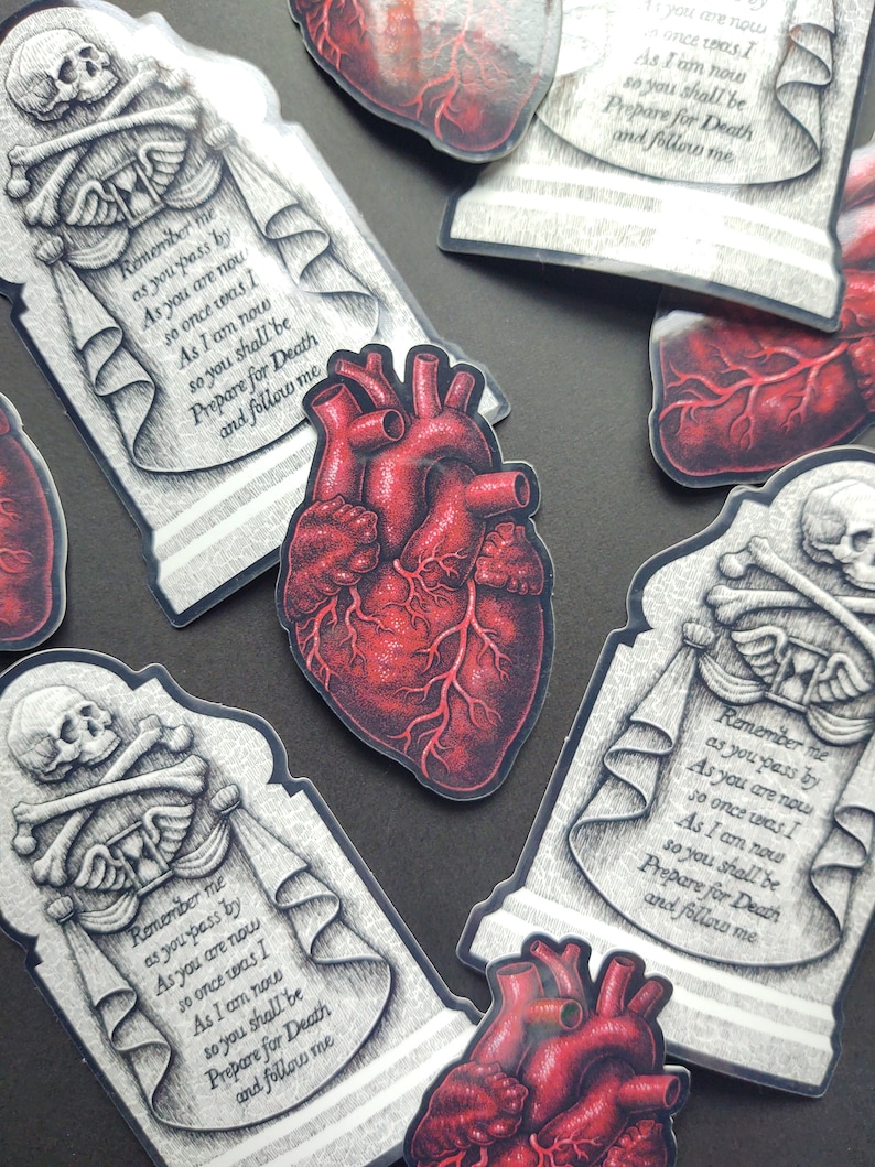 Anatomical Heart Die-cut Vinyl Sticker - Etsy