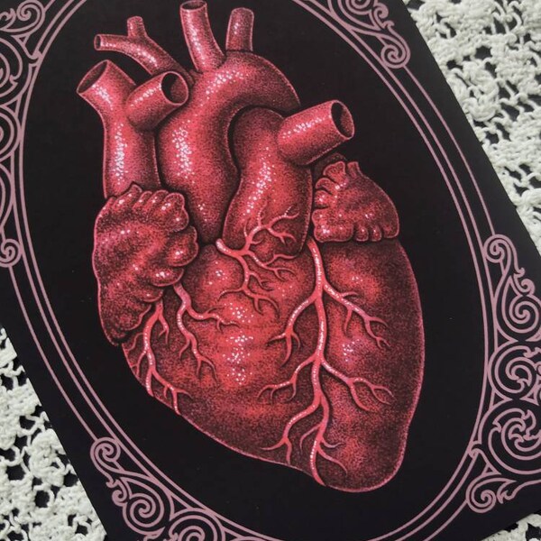 Anatomical Heart Print - Etsy