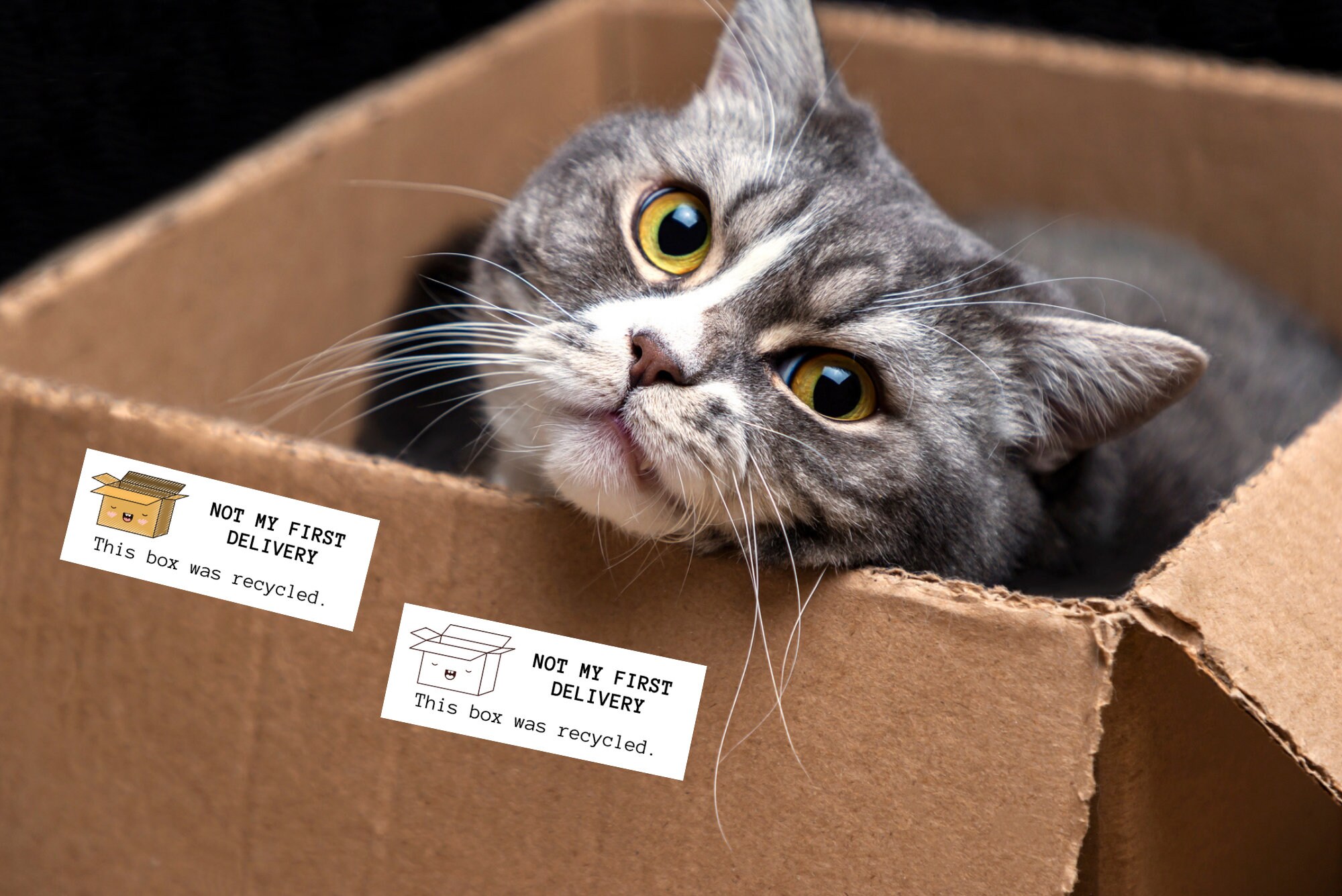 Recycled Box Sticker Reused Box Label Printable Reclaimed Shipping Box ...