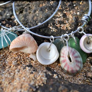 Shell Bangles, Shell Bracelets, Hawaii Bracelets, Sea Shells, Shells ...
