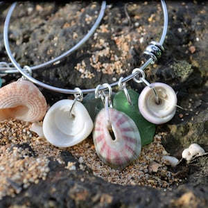 Shell Bangles, Shell Bracelets, Hawaii Bracelets, Sea Shells, Shells ...