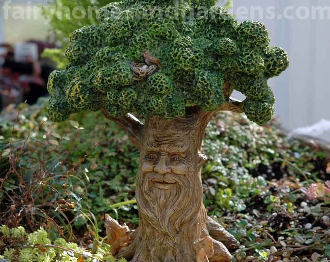 Woodland Knoll Wise Old Tree - Fairy Garden Supply - Ent - Fairy Garden ...