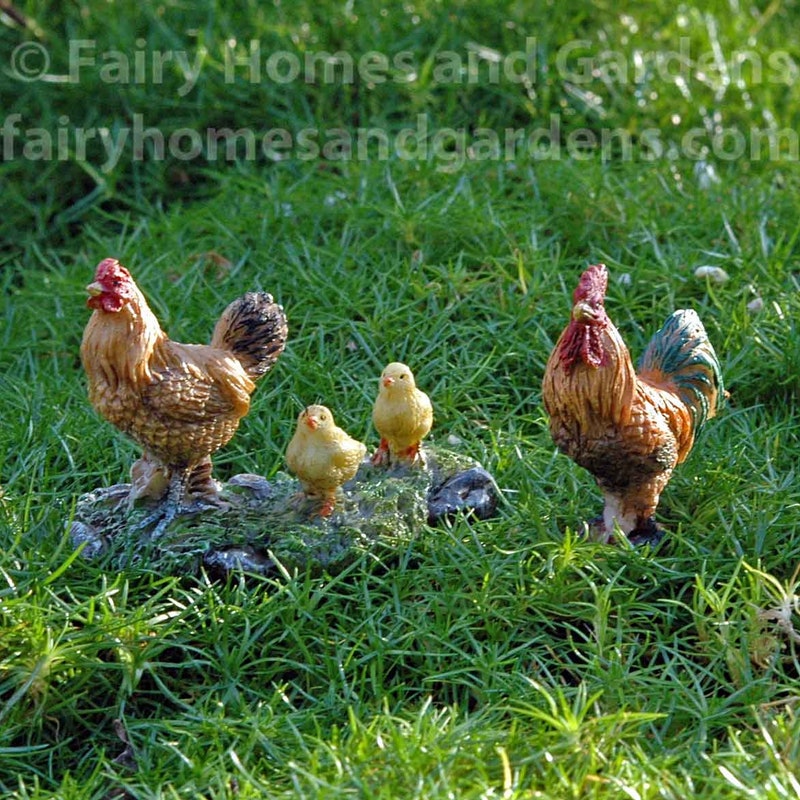 Miniature Roosters - Etsy