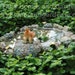 Woodland Knoll Fairy Pond With Puppy - Puppy at the Pond - Fairy Garden ...