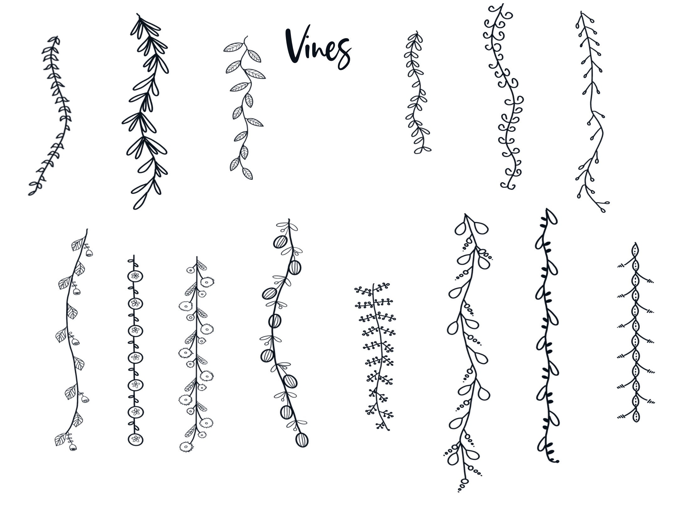 Vine Doodles procreate brush | Etsy