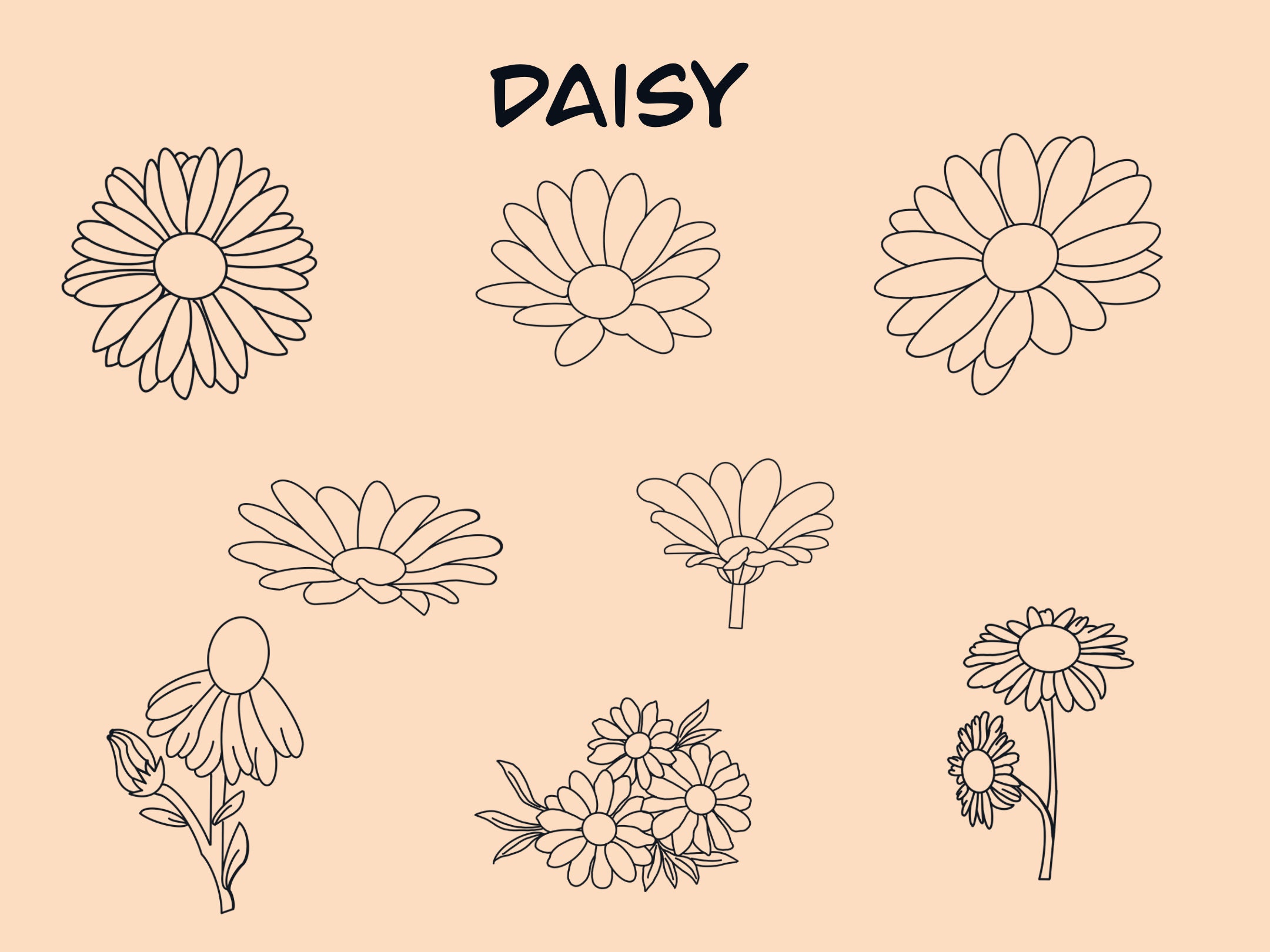 Daisy Procreate Brushes - Etsy