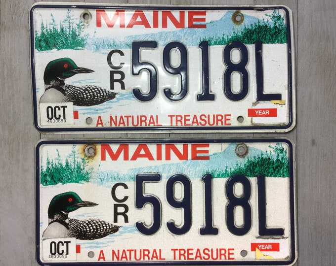 Maine Loon License Plate CR 5918L Auto Tag Natural Treasure - Etsy