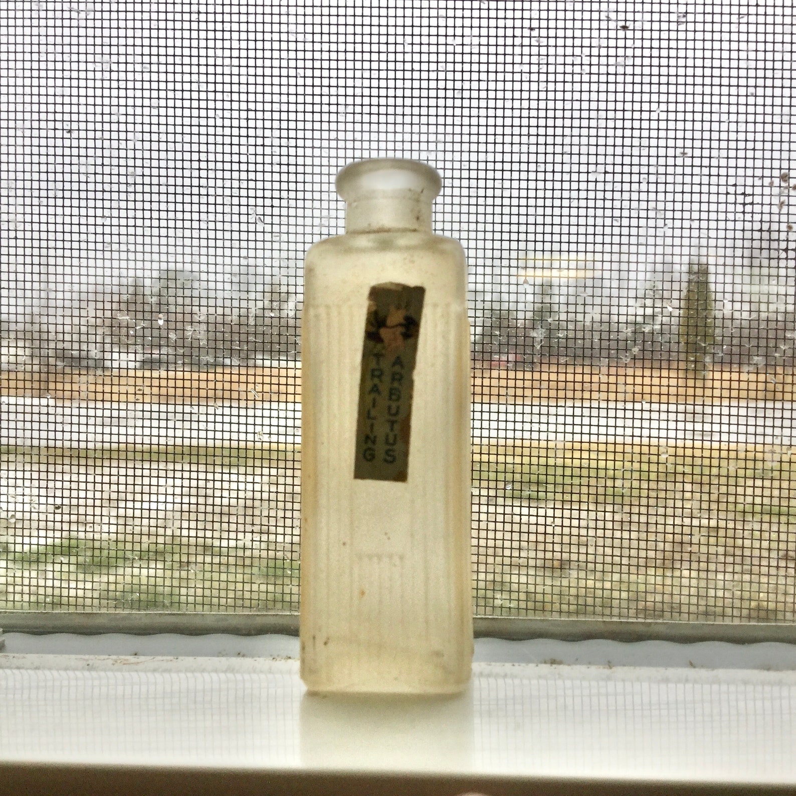 Trailing Arbutus California Perfume Bottle Antique 20s Avon | Etsy