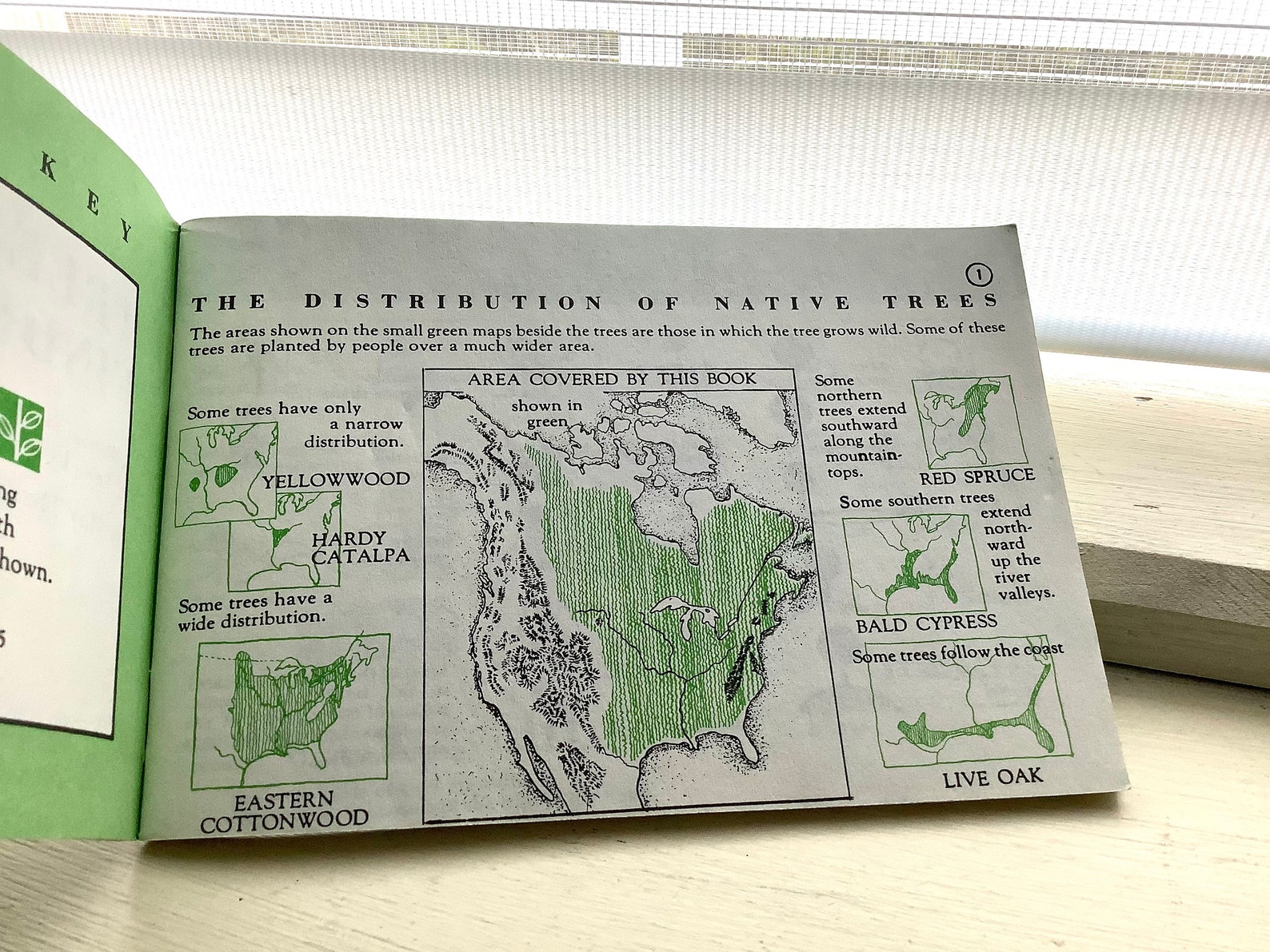 Lot of 2 Nature ID Guide Books: Tree Finder Key Fern Finder - Etsy