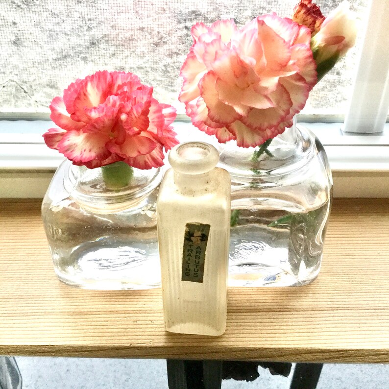 Trailing Arbutus California Perfume Bottle Antique 20s Avon | Etsy