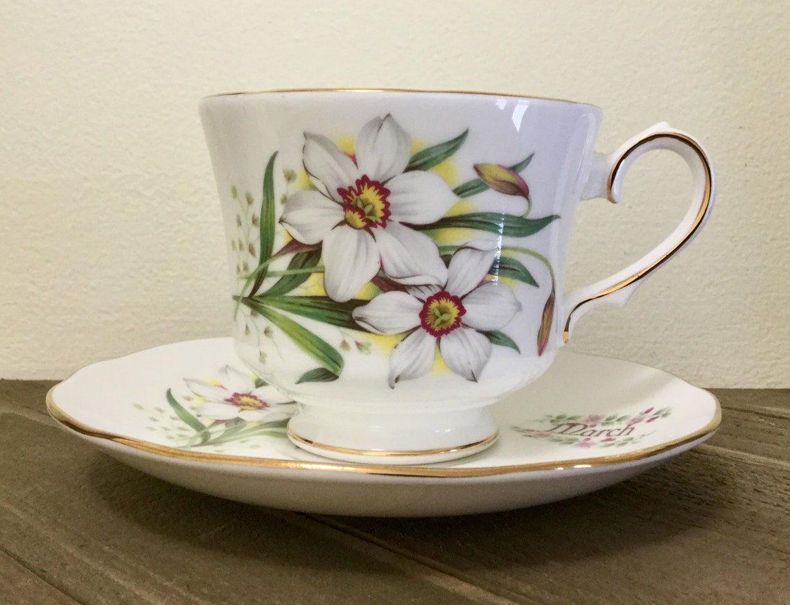 March Daffodil Teacup Flower of Month Narcissus Poeticus | Etsy