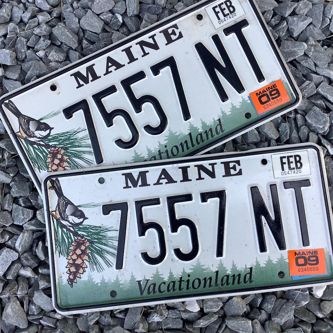 Set of 2 Maine License Plates, 7557 NT Chickadee, 1999 Vintage Auto Tag ...