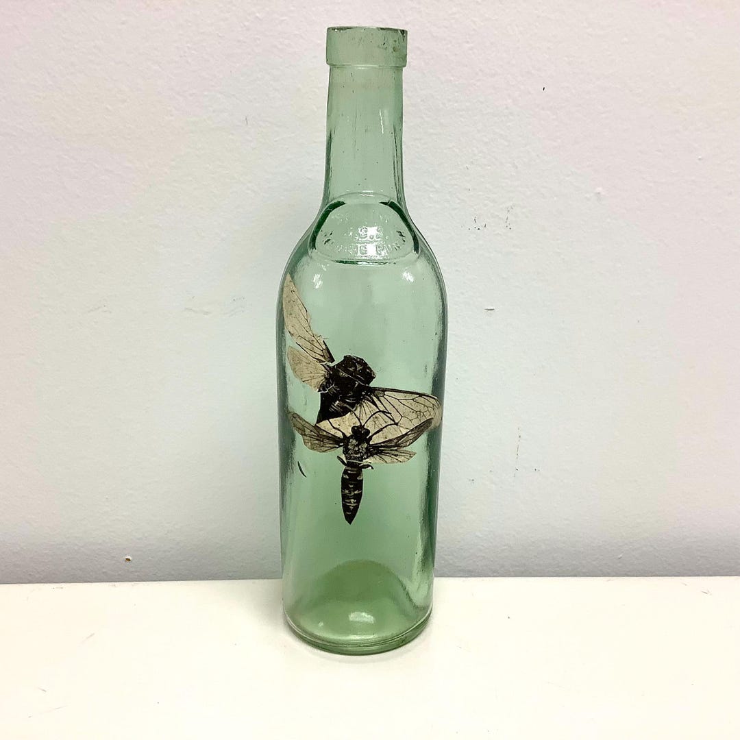 FLY Bottle, Genuine JCS Caloric Punch Antique Glass Antique 1880s J ...