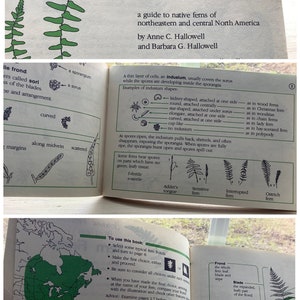 Lot of 2 Nature ID Guide Books: Tree Finder Key Fern Finder - Etsy