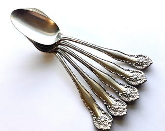 Mismatched Lot Serving Spoons, Silverplated Shabby Antique Floral - Etsy