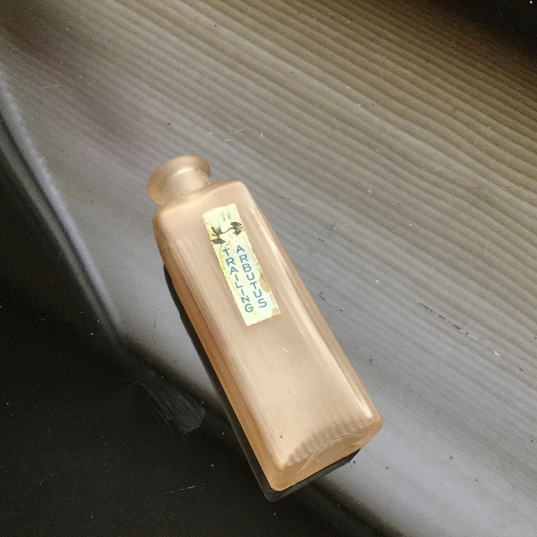 Trailing Arbutus California Perfume Company Bottle Antique - Etsy