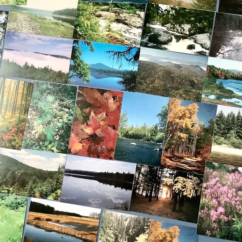 Maine Postcards - Etsy