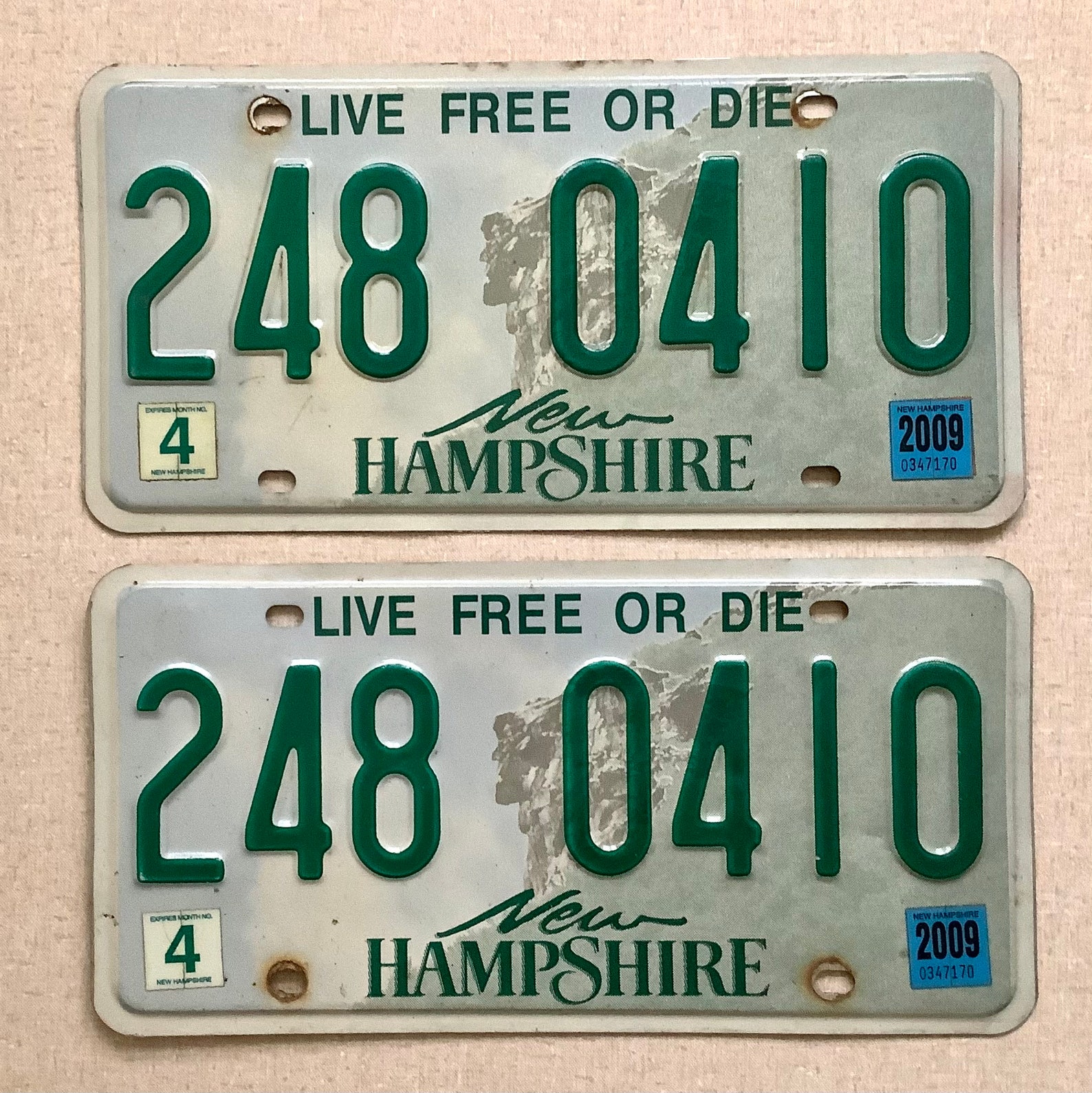 NH 248 0410 License Plate Man in Mountain Live Free or Die - Etsy