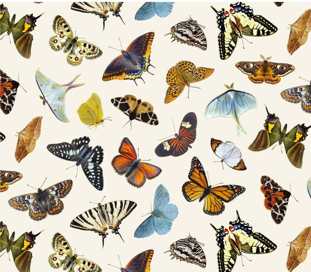 Fat Quarter Butterflies and Moths 100% Cotton Quilting Fabric - Etsy