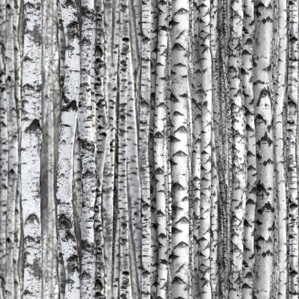 Birch Tree Fabric - Etsy