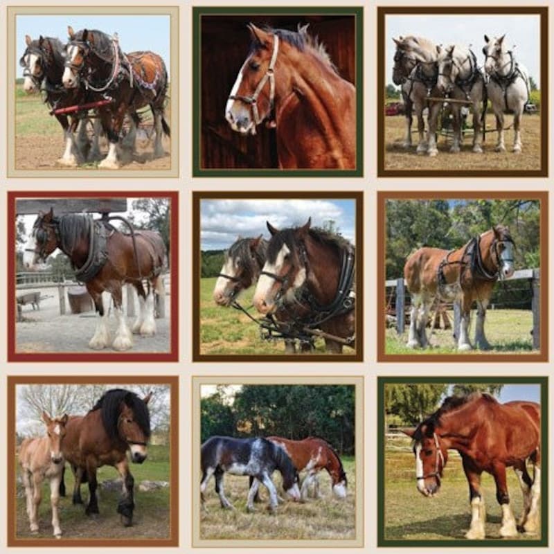 Horse Fabric Cotton Heavy - Etsy