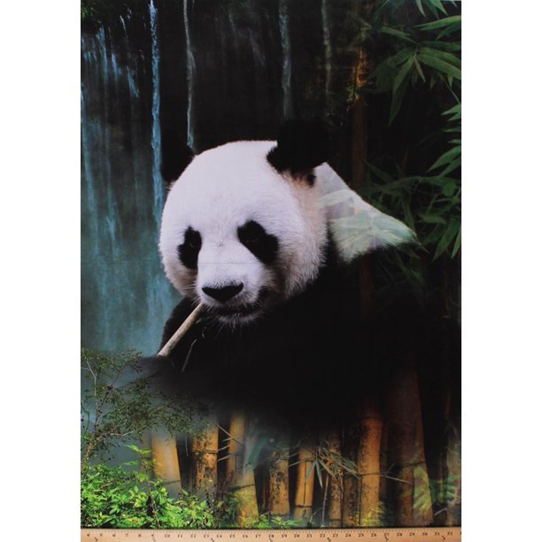 Call of the Wild Bamboo Forest Panda Panel 100% Cotton Print Fabric - Etsy