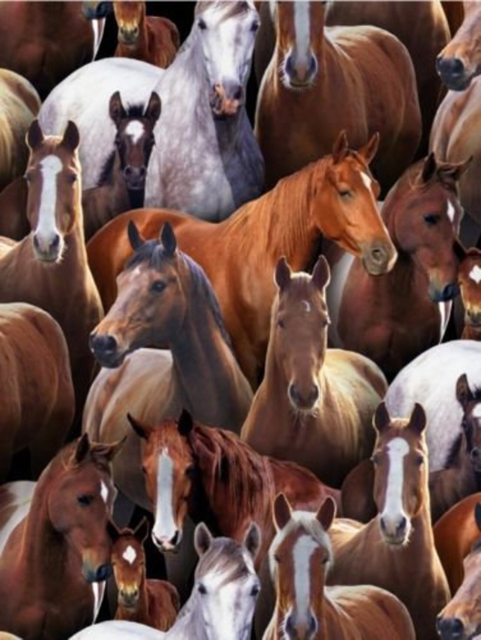 Fat Quarter Horse Farm Animals 100% Cotton Quilting Sewing Fabric - Etsy