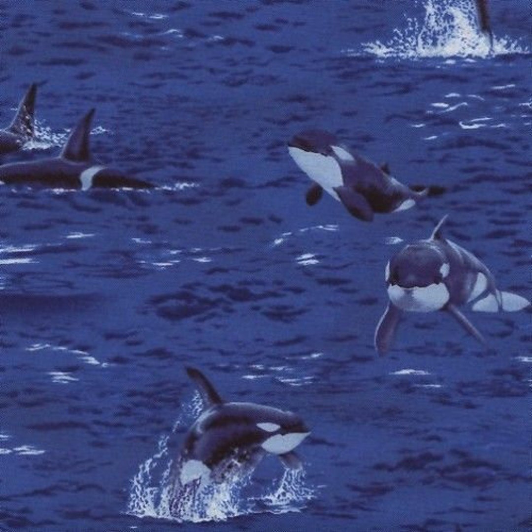 Orcas Killer Whale Sealife Cotton Quilting Sewing Fabric Sea Orca ...