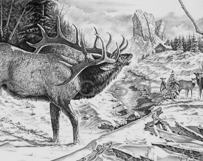 Elk Art, A Voice in the Wilderness, Pencil Drawing of the Majestic ...