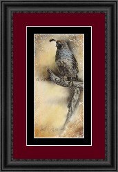 Gamble's Quail, Legal Resident, Print From My Original Oil Painting of ...