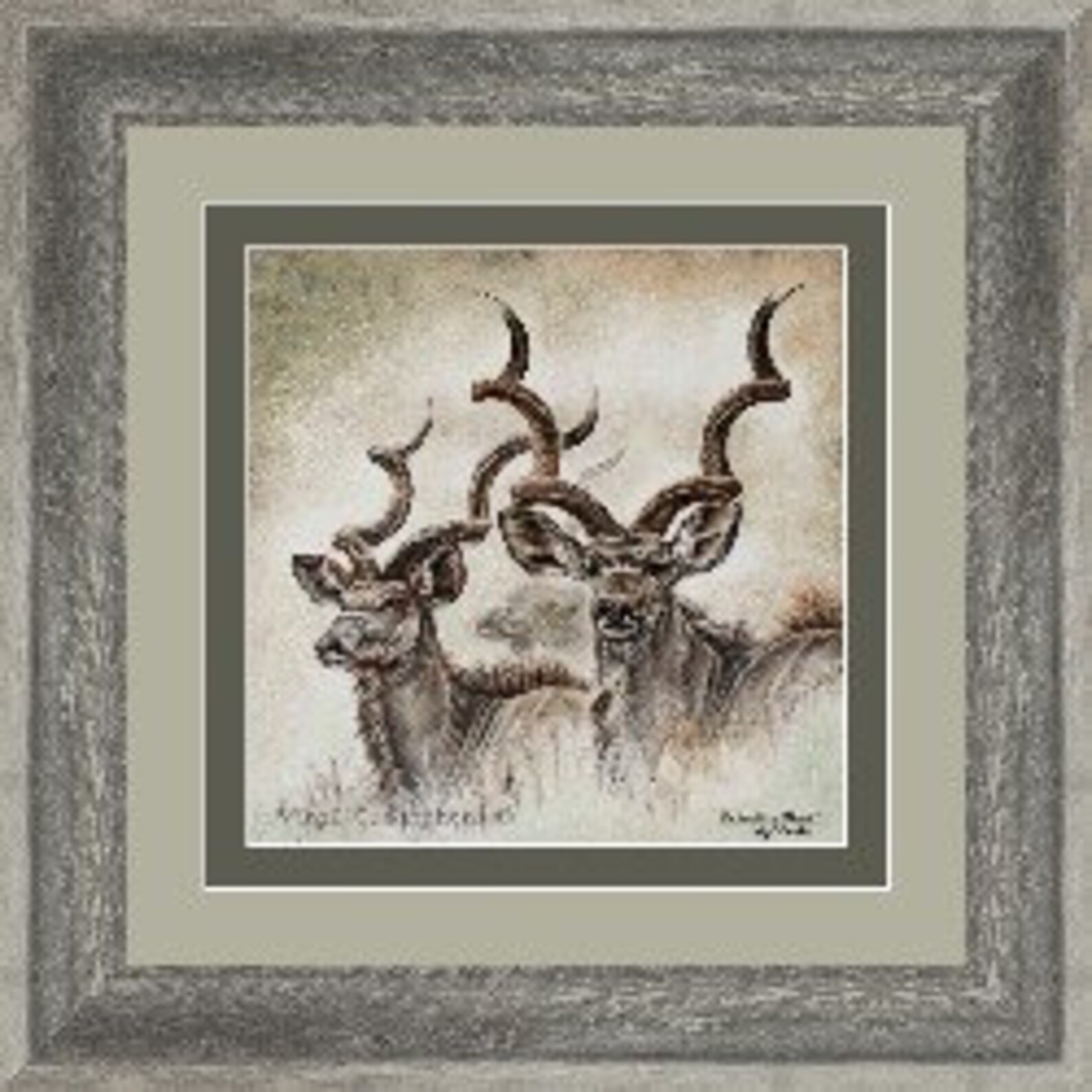 Kudu Art, the Ghosts of Africa, Print of a Couple of Kudu in Kimberley ...